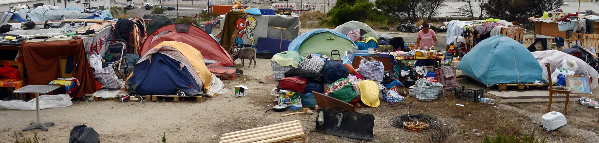 Toute l'actualité roms