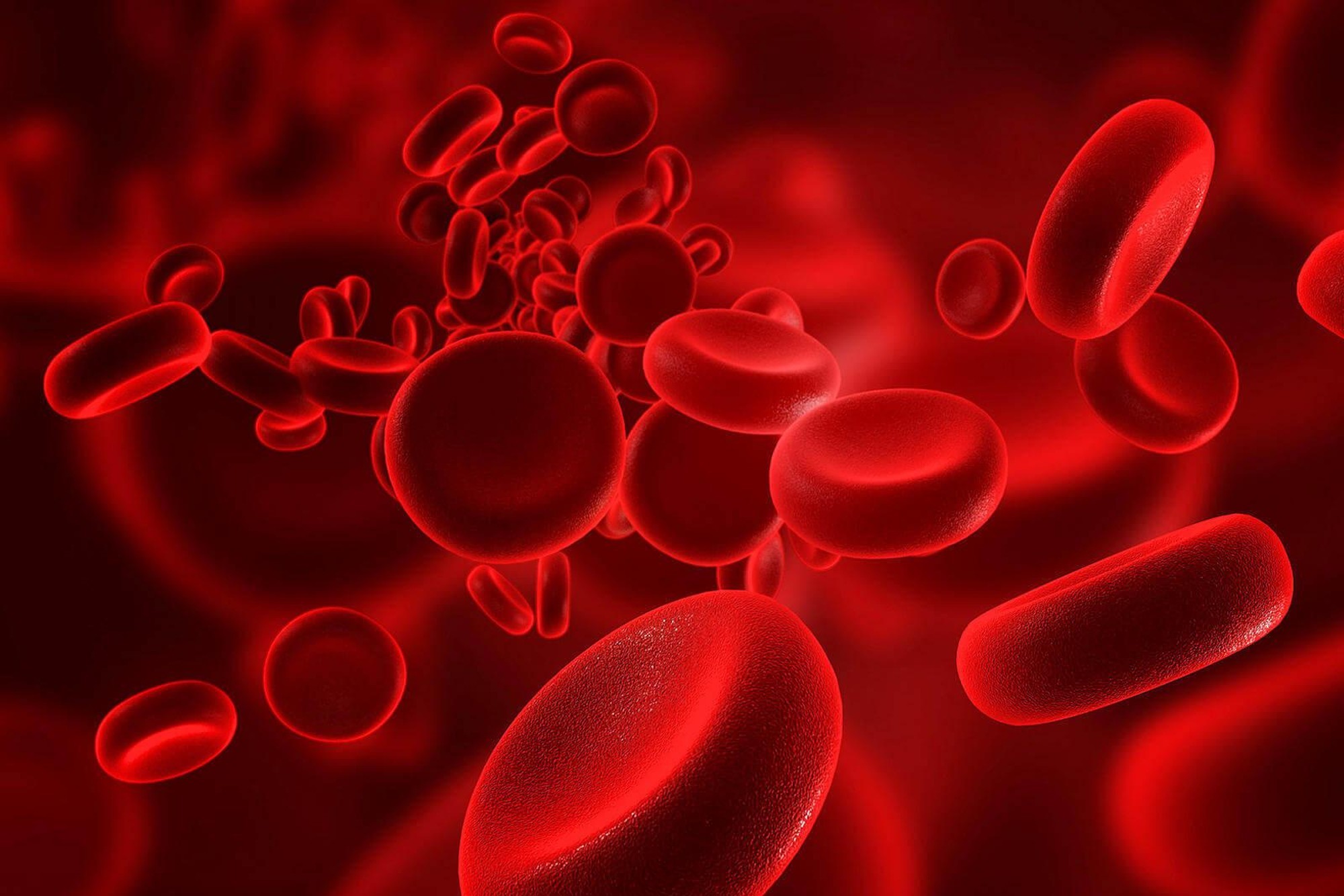 Un nouveau test sanguin créé pour prédire la mort