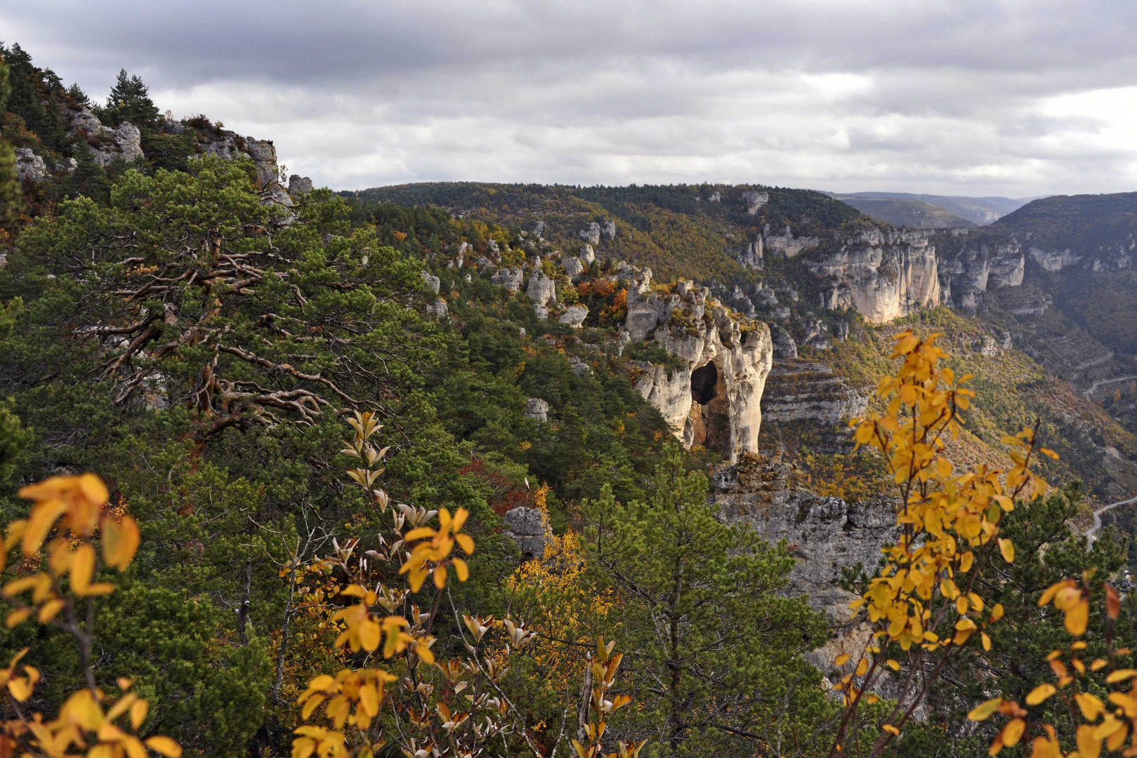 DIAPORAMA - Le parc national des Cévennes obtient le label "réserve de ...
