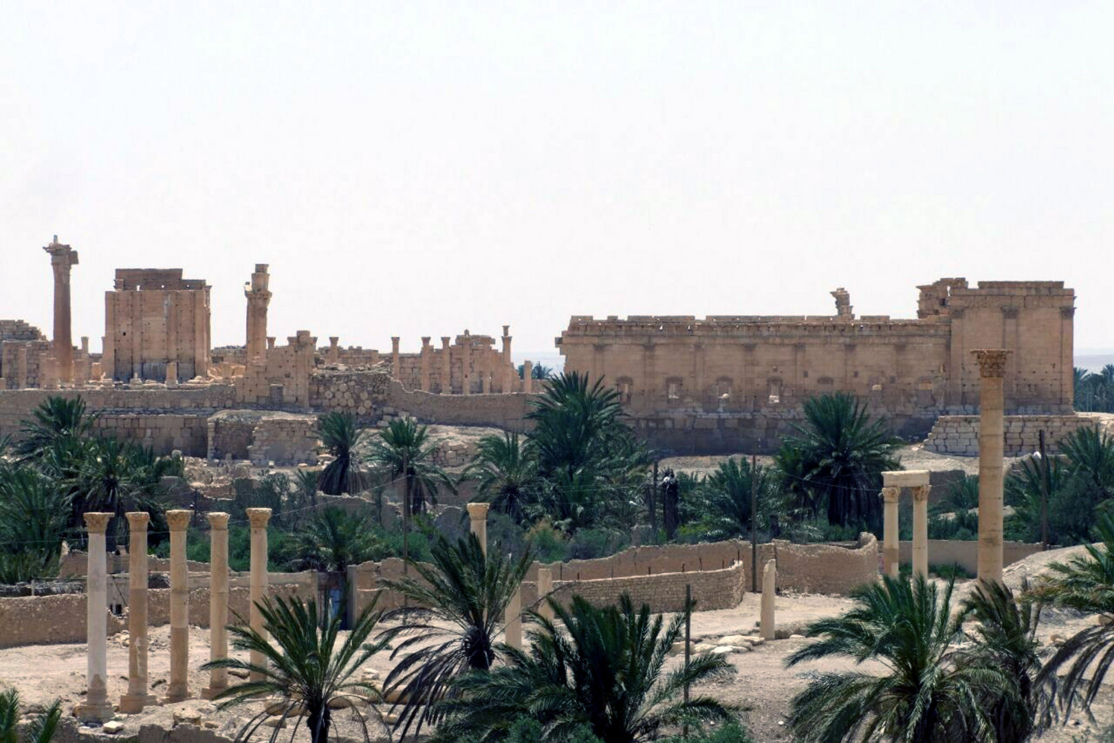 Syrie : la cité antique de Palmyre aux mains de l'État islamique