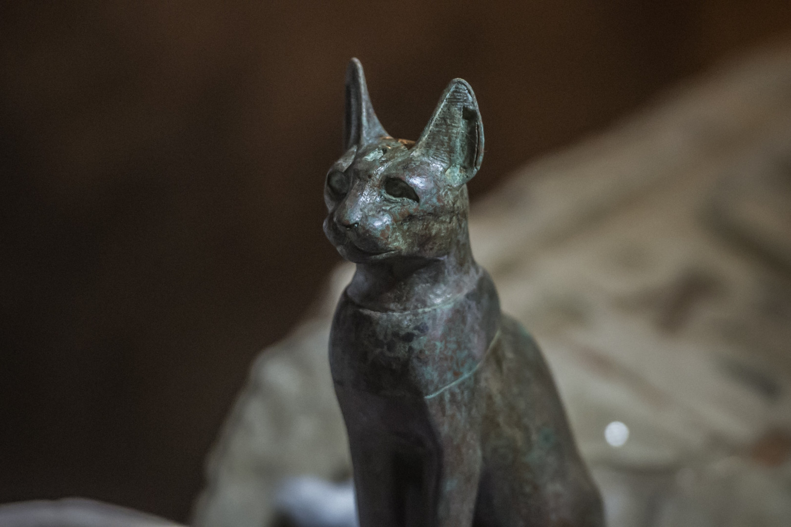 Égypte : découverte de chats et de scarabées momifiés du temps des pharaons