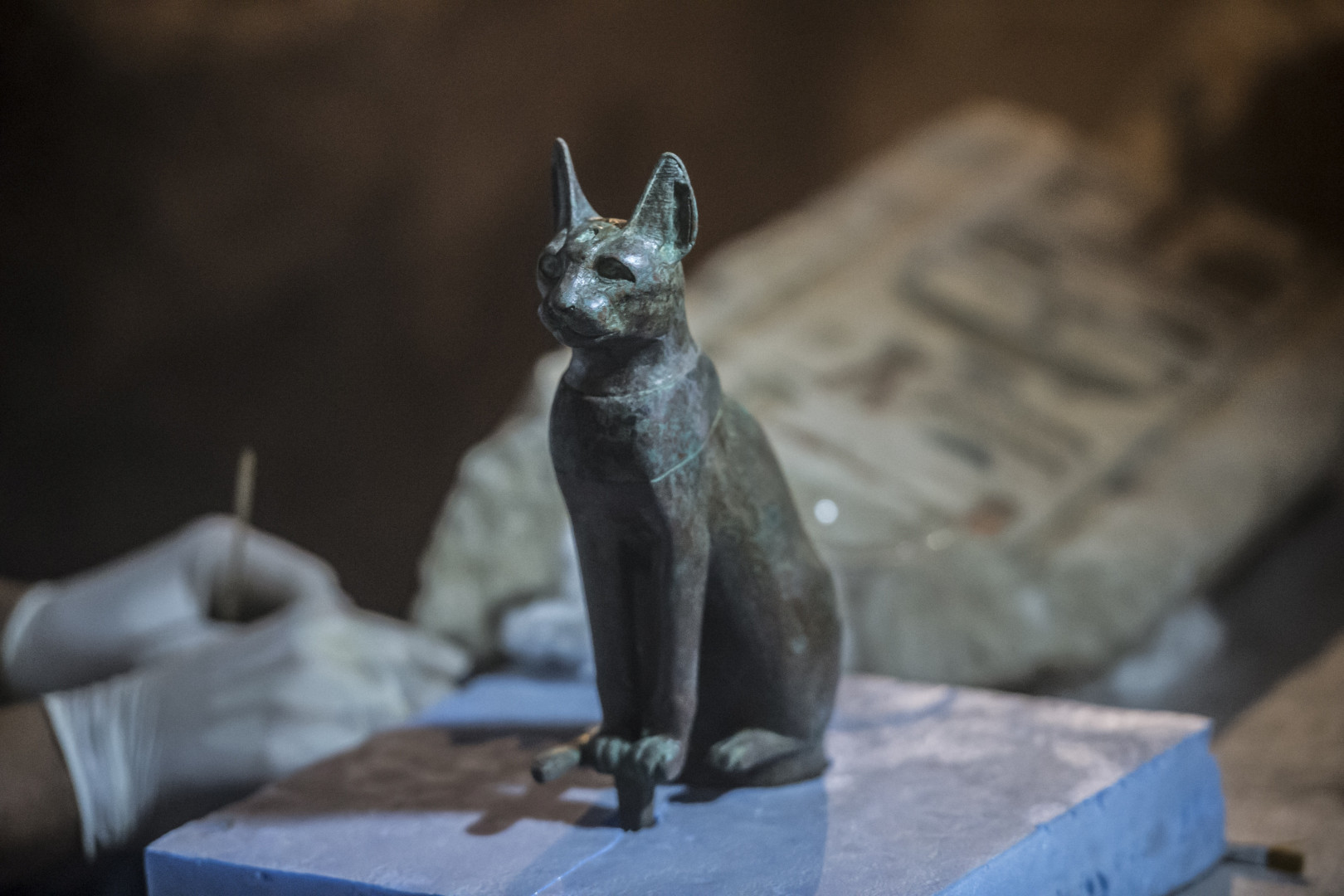 Égypte : découverte de chats et de scarabées momifiés du temps des pharaons