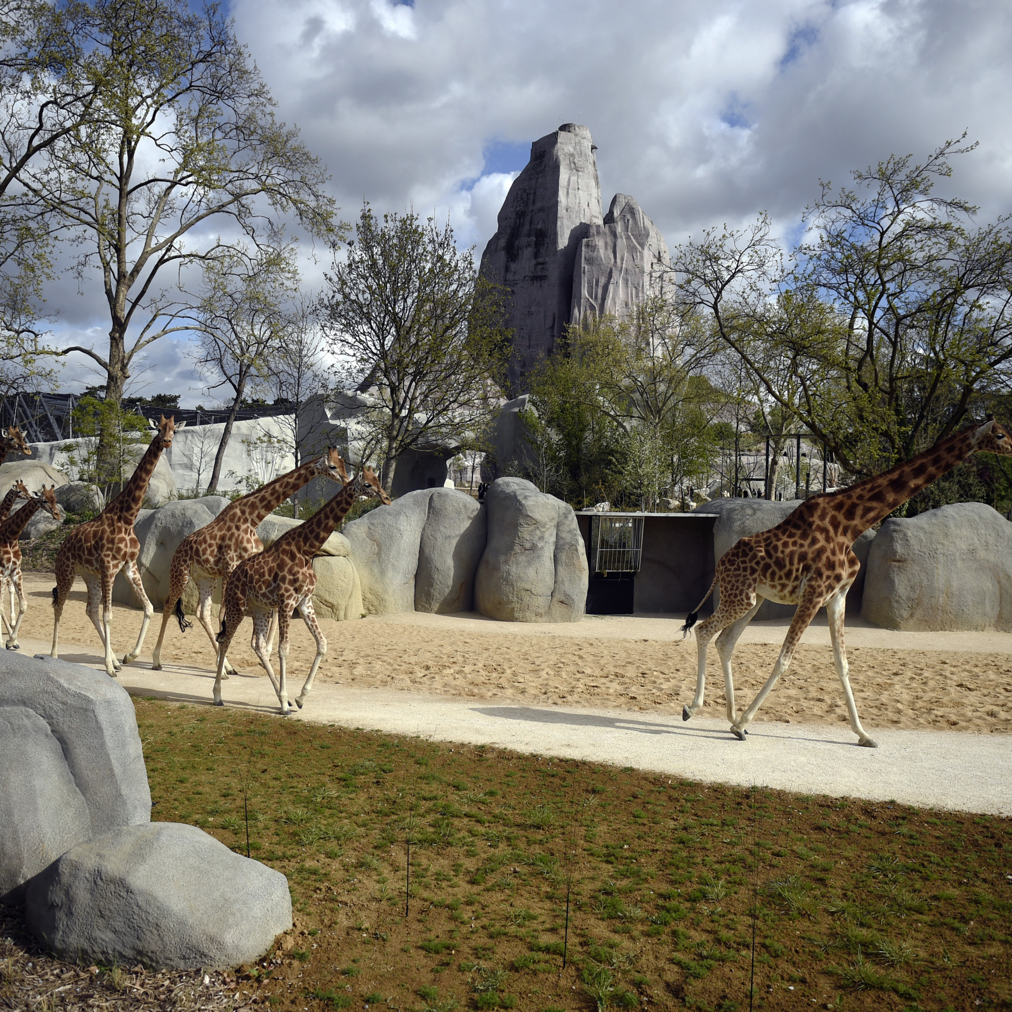 Le Parc Zoologique de Paris dans Un Torrent de musique