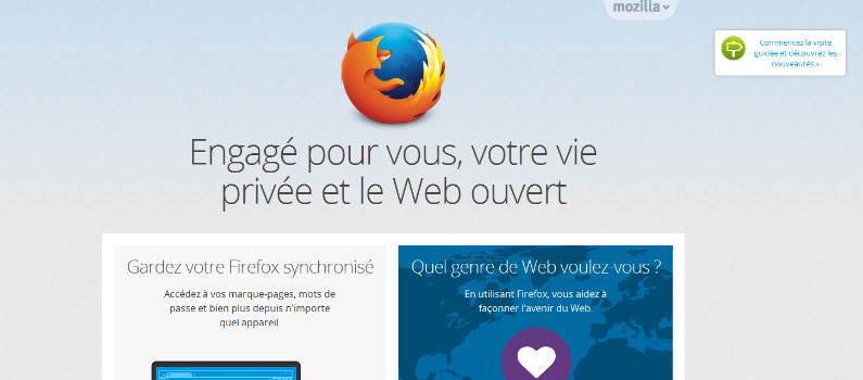 Firefox : interface, rapidité... les internautes partagés sur la ...