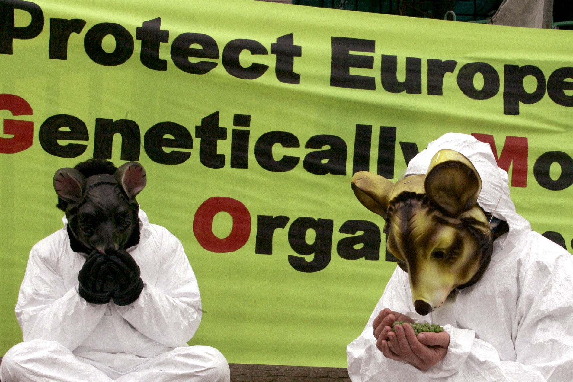 L'UE autorise la commercialisation de 19 OGM