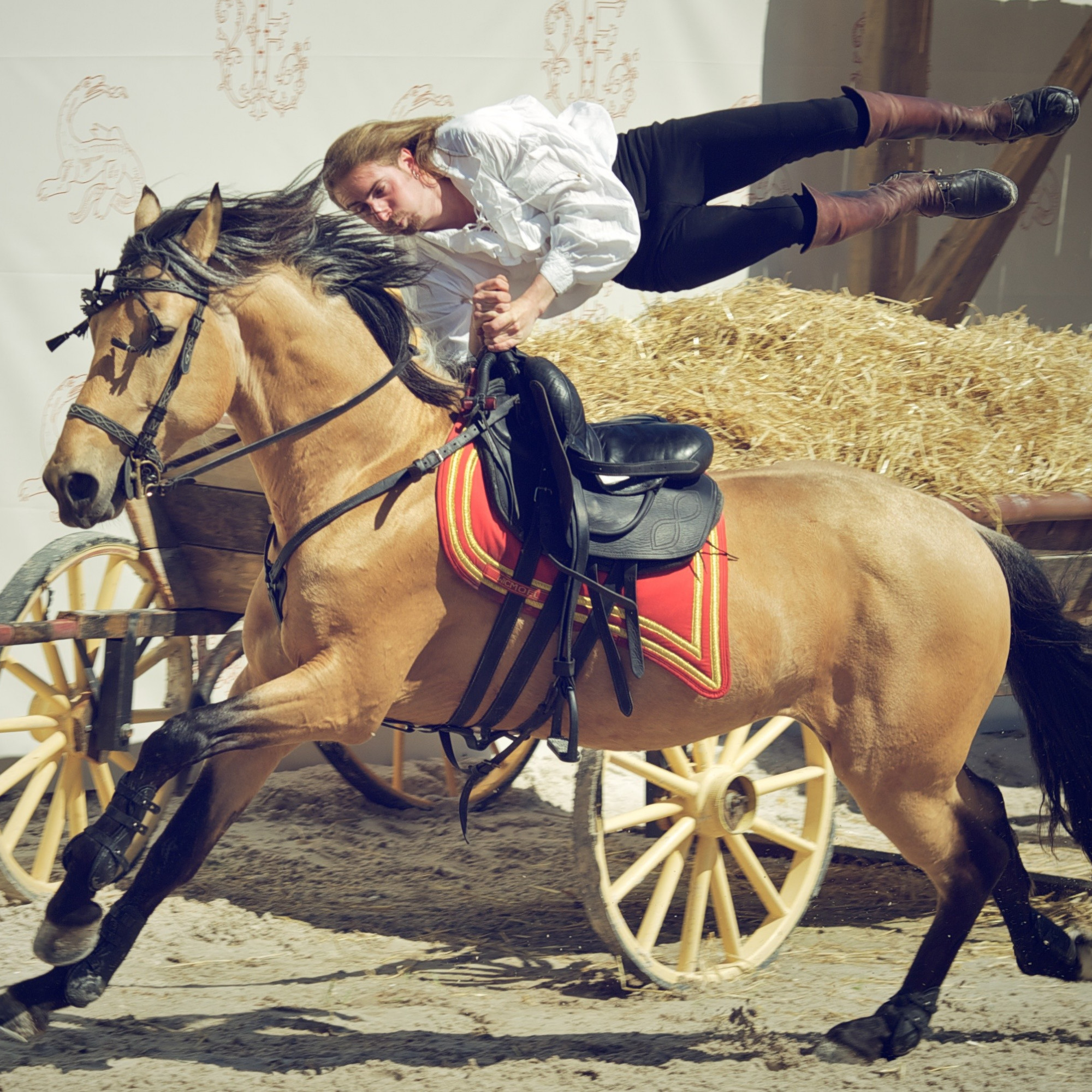 Mark Thérouin : "La passion pour les chevaux ne m'a jamais quitté"