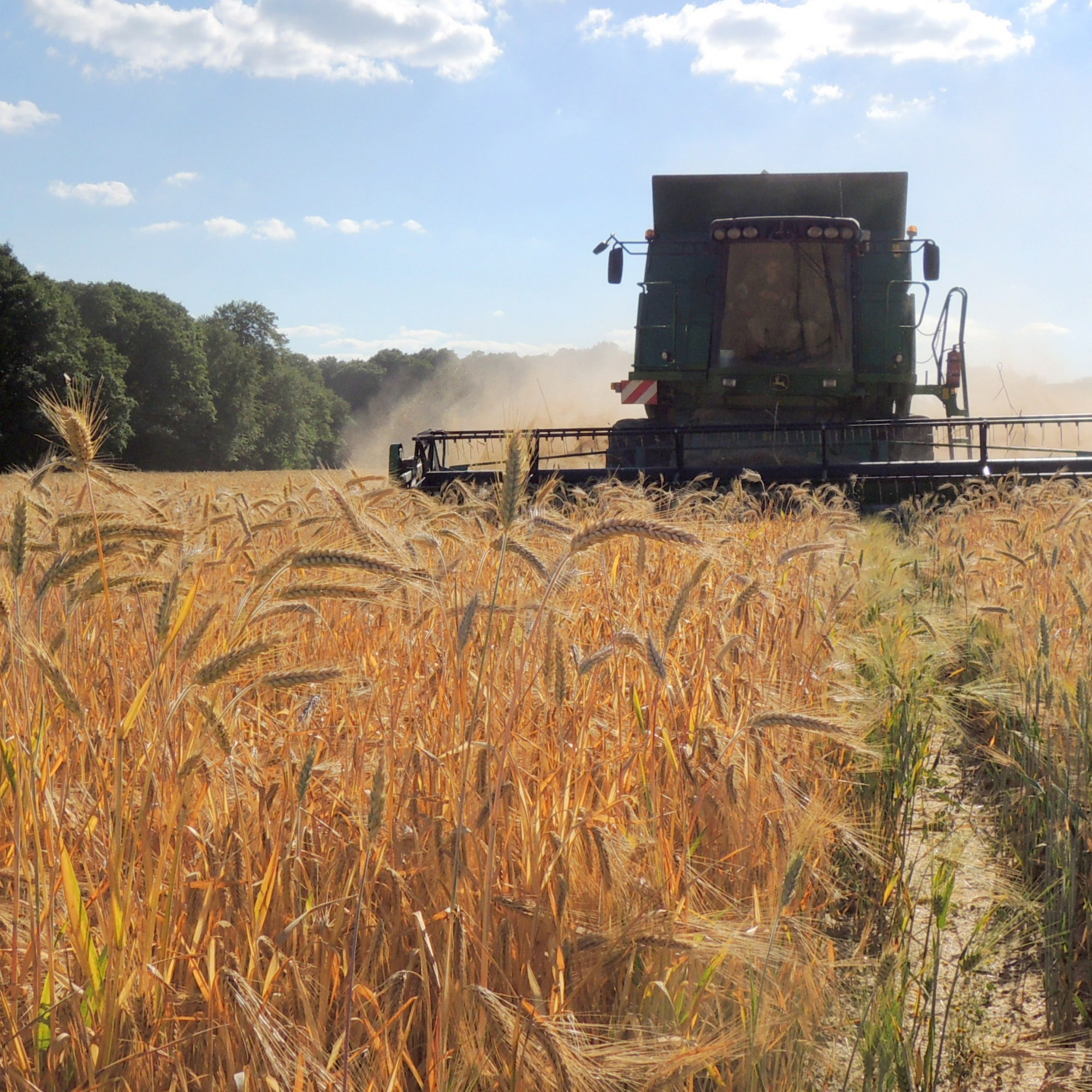 Gaétan : "Je suis moissonneur dans la Marne"