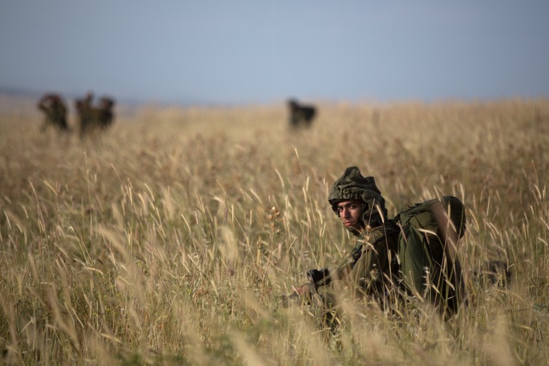 Israël : des roquettes tirées depuis la Syrie atteignent le Golan