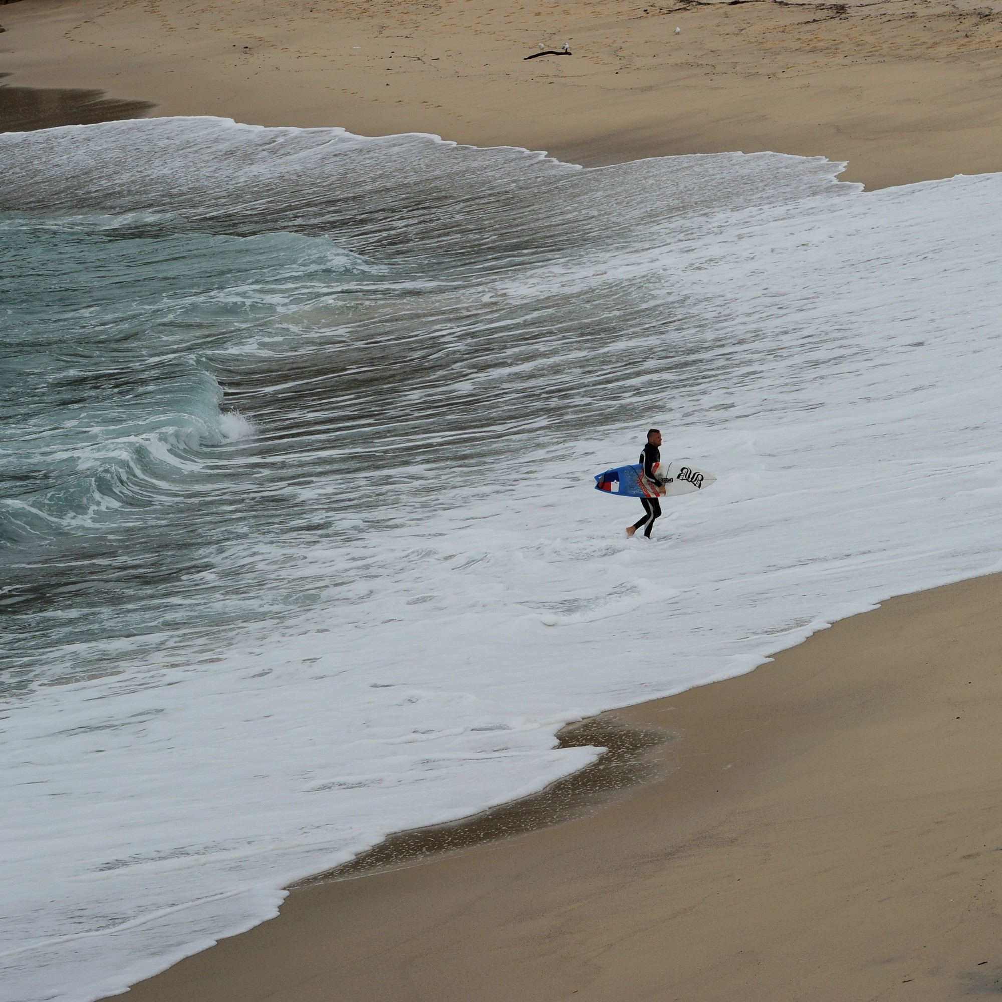 Australie : un surfeur grièvement blessé par un requin