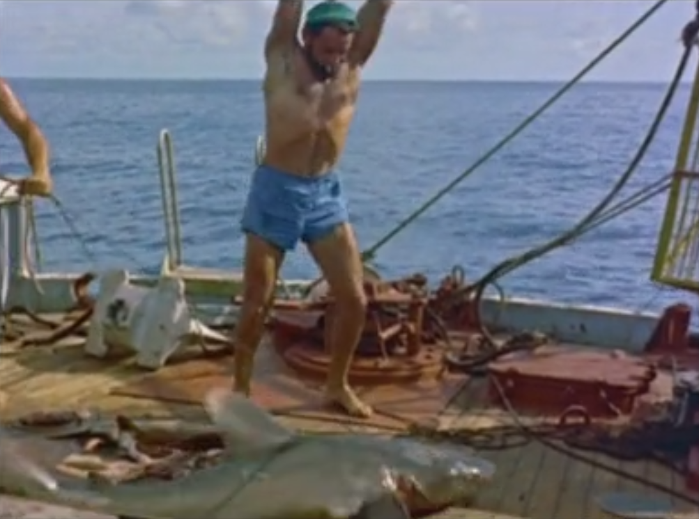 VIDÉO - Pourquoi "Le Monde du silence" de Cousteau est-il "naïvement ...