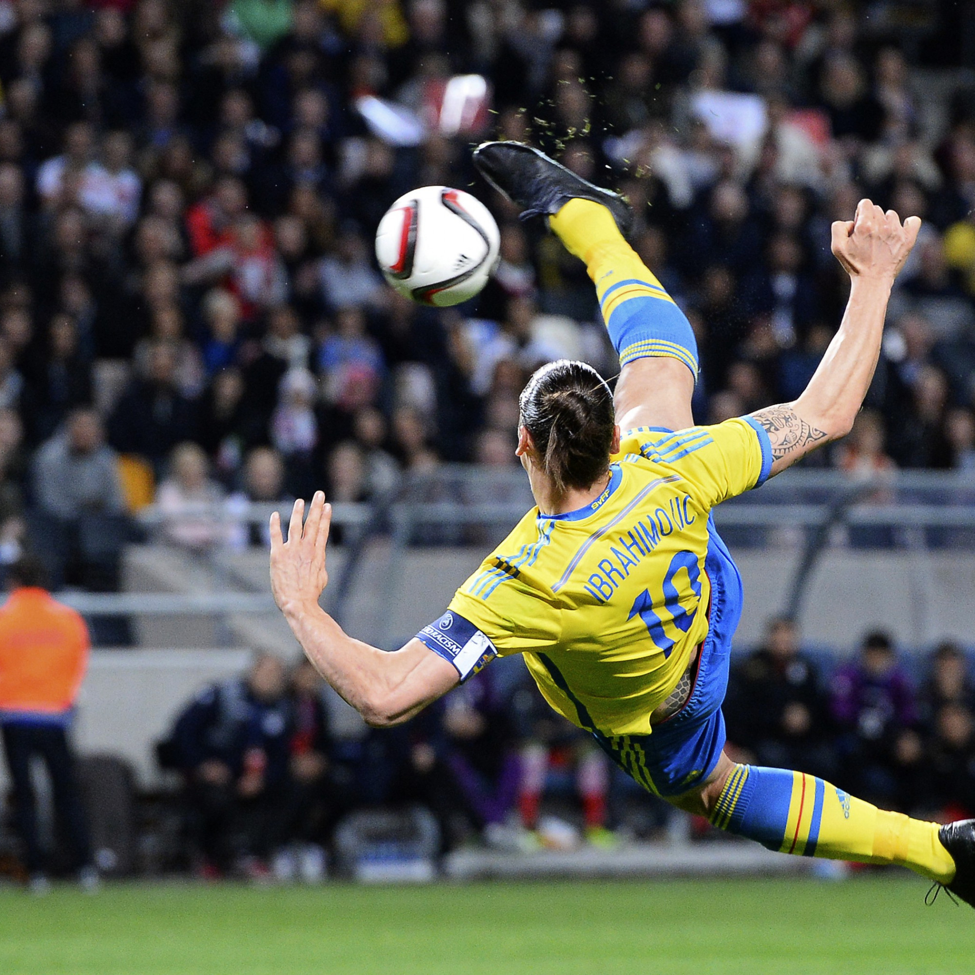 Zlatan Ibrahimovic "espère connaître la Ligue des champions à Malmö sur ...