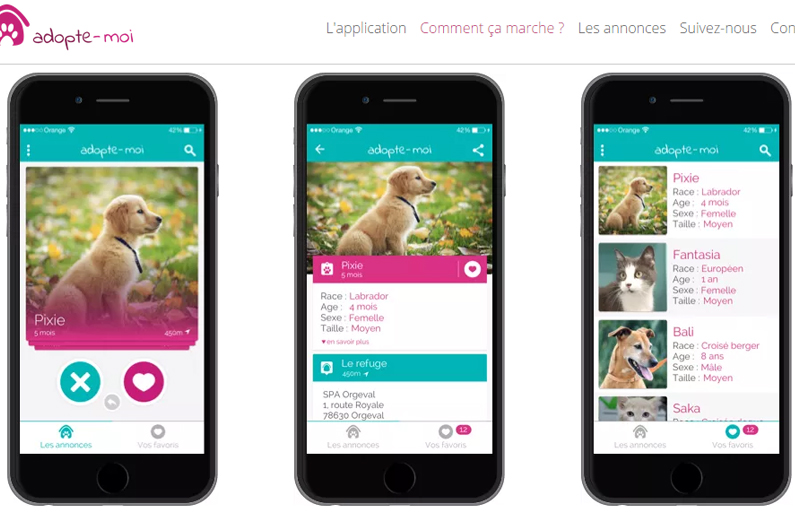 "Adopte-moi", l'application pour adopter en un clic un animal de compagnie