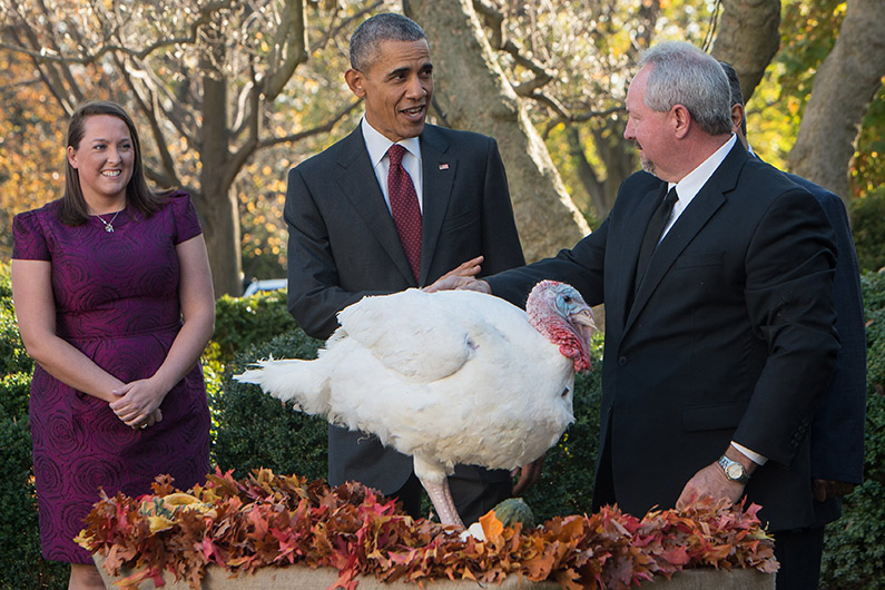 États-Unis : l'arrière-goût politique de la dinde de Thanksgiving
