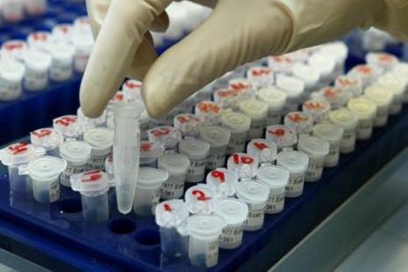 Les manipulations génétiques