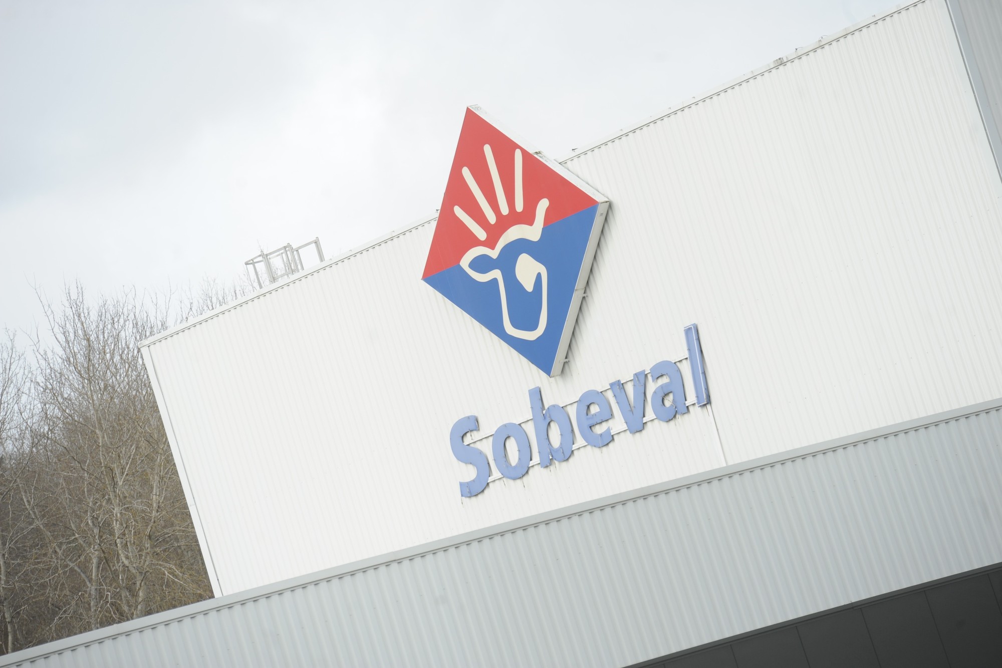 Dordogne : la réouverture de l'abattoir Sobeval écœure L214