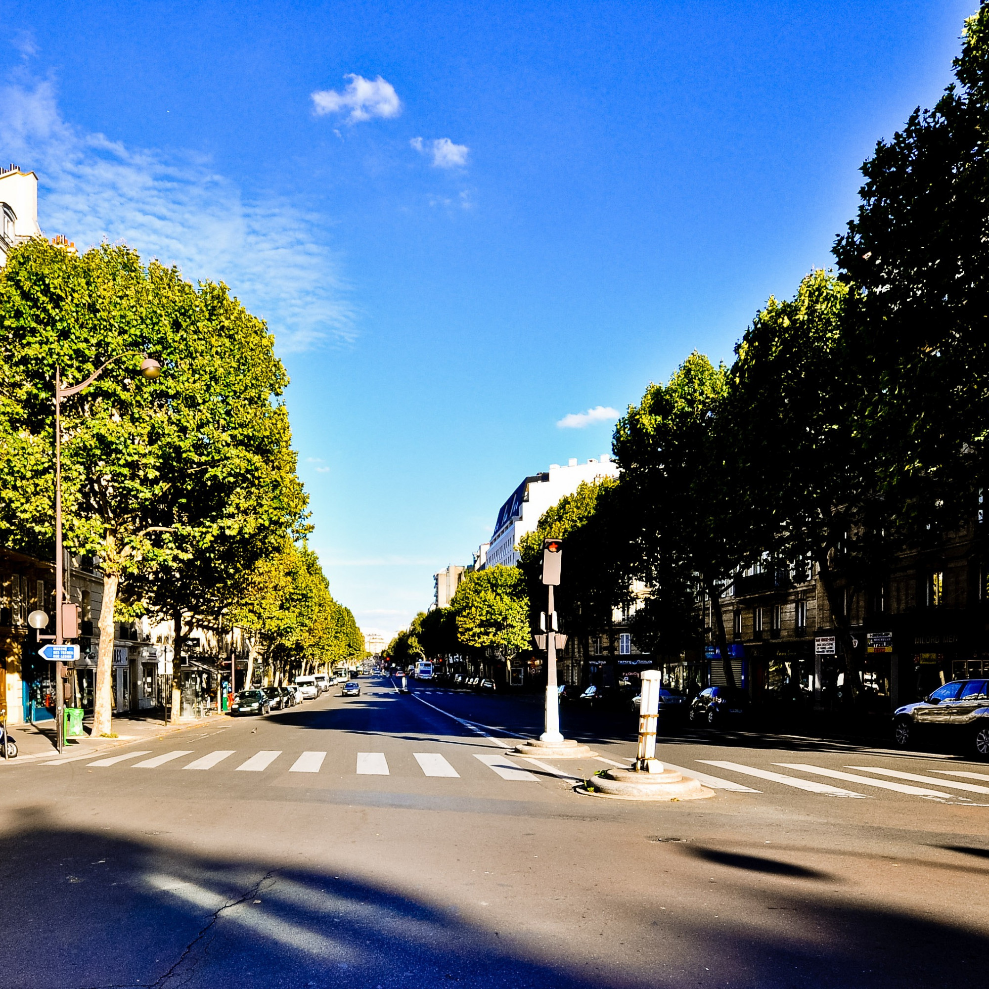 Paris : l'avenue des Ternes, une route essentielle