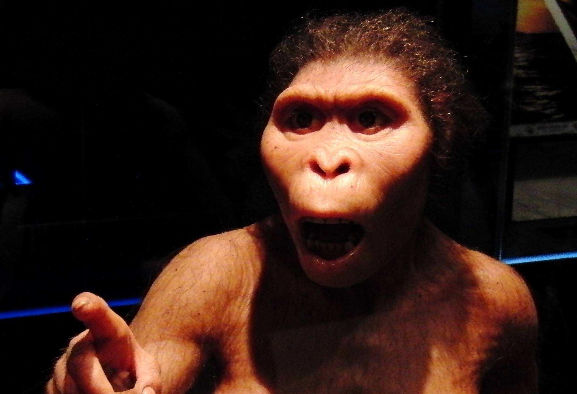 Lucy : sur RTL, Raymonde Bonnefille se souvient de la découverte de l ...