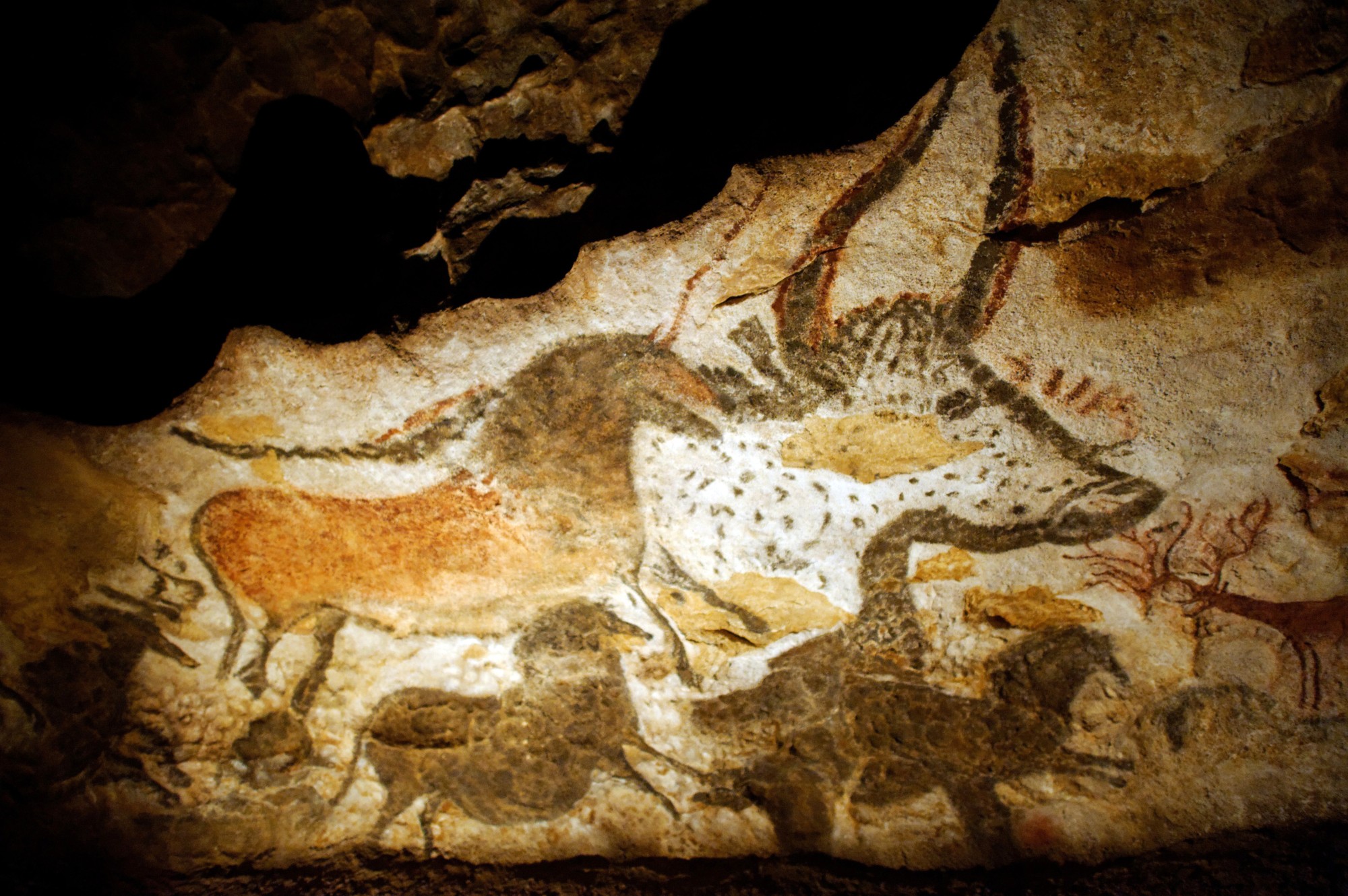 Lascaux : un sentier dans les pas des découvreurs de la grotte