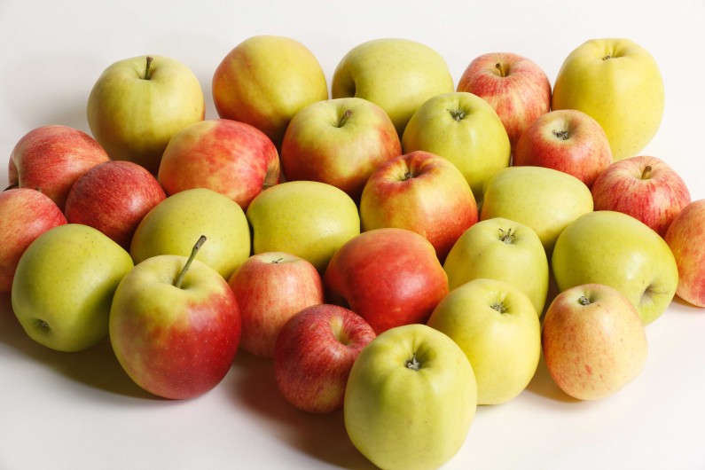 Au menu aujourd'hui : les pommes et les poires