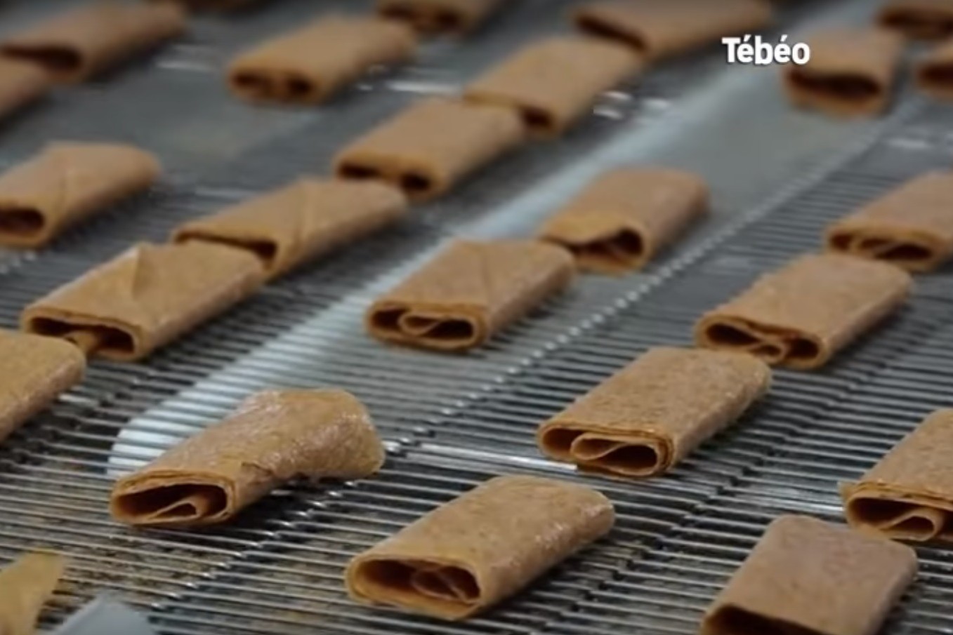 Loc Maria Biscuits : les Bretons qui ont banni les œufs de batterie de ...