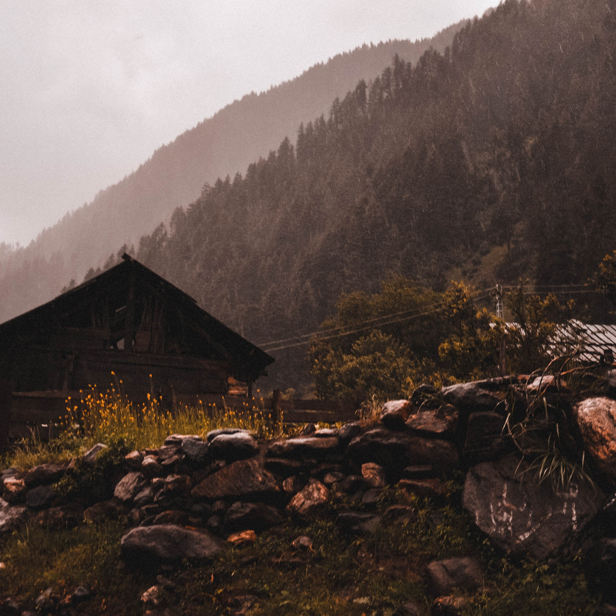 Le Badeshi, cette langue qui n'est plus parlée que par trois vieillards ...