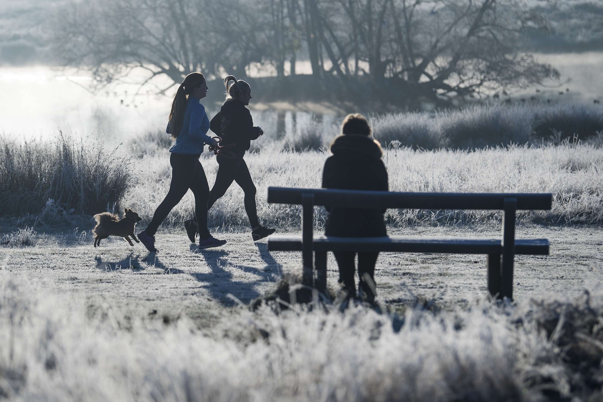 Météo en France : vers une vague de froid plus intense en décembre