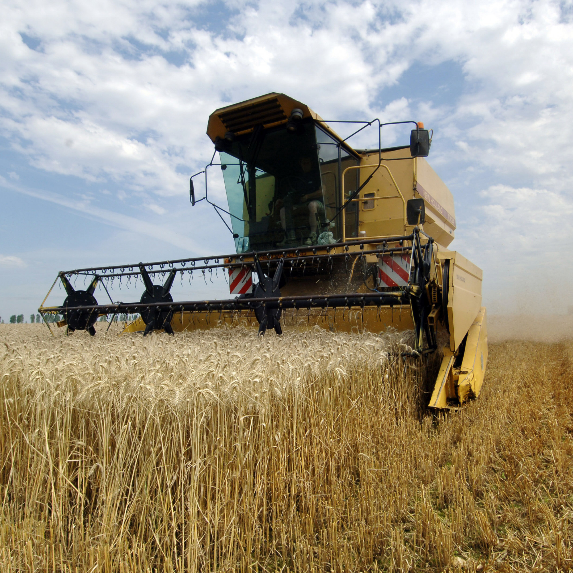 Les infos de 6h - Agriculture : d'excellentes moissons, malgré la ...