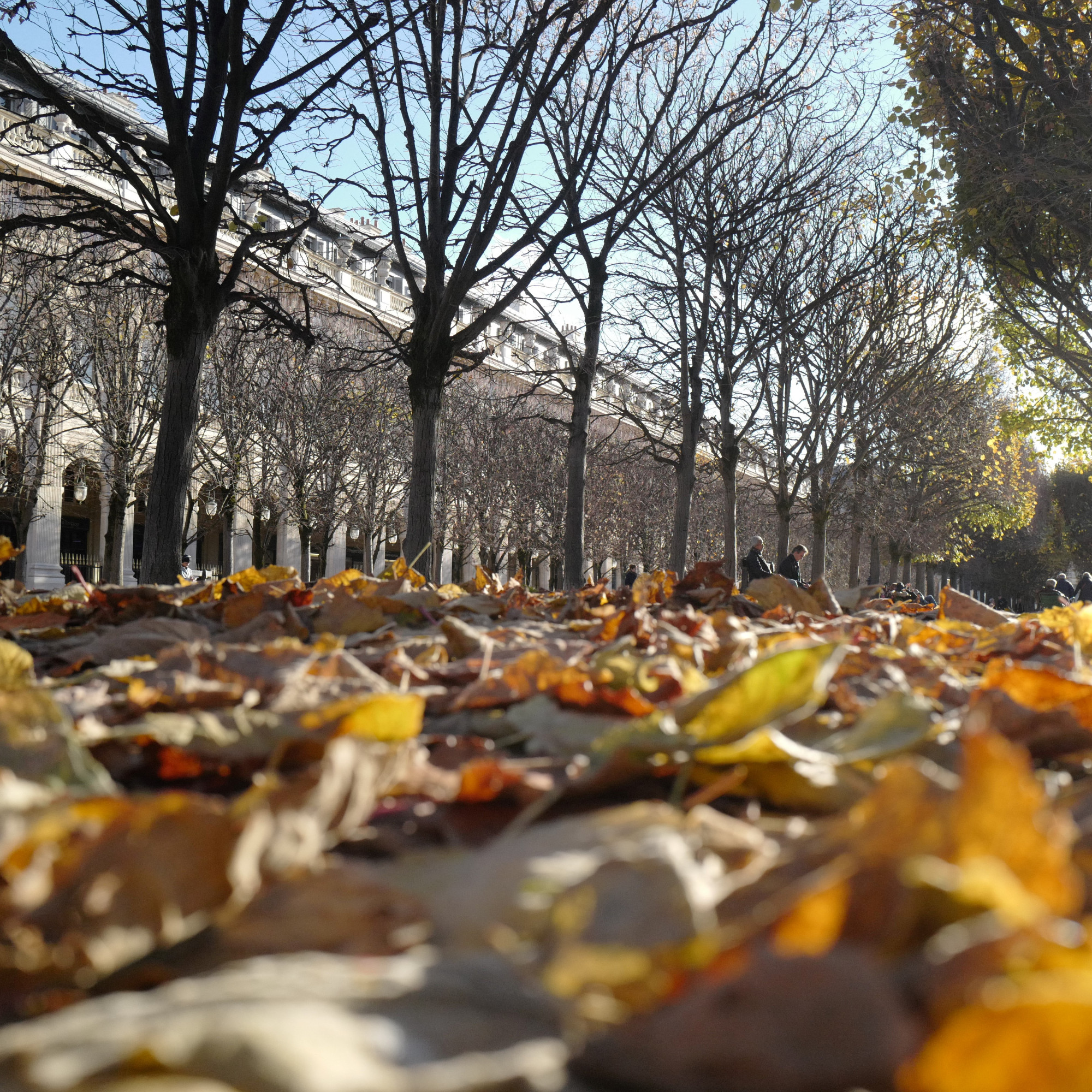 Automne 2022 : pourquoi l'équinoxe a-t-elle lieu le 23 septembre