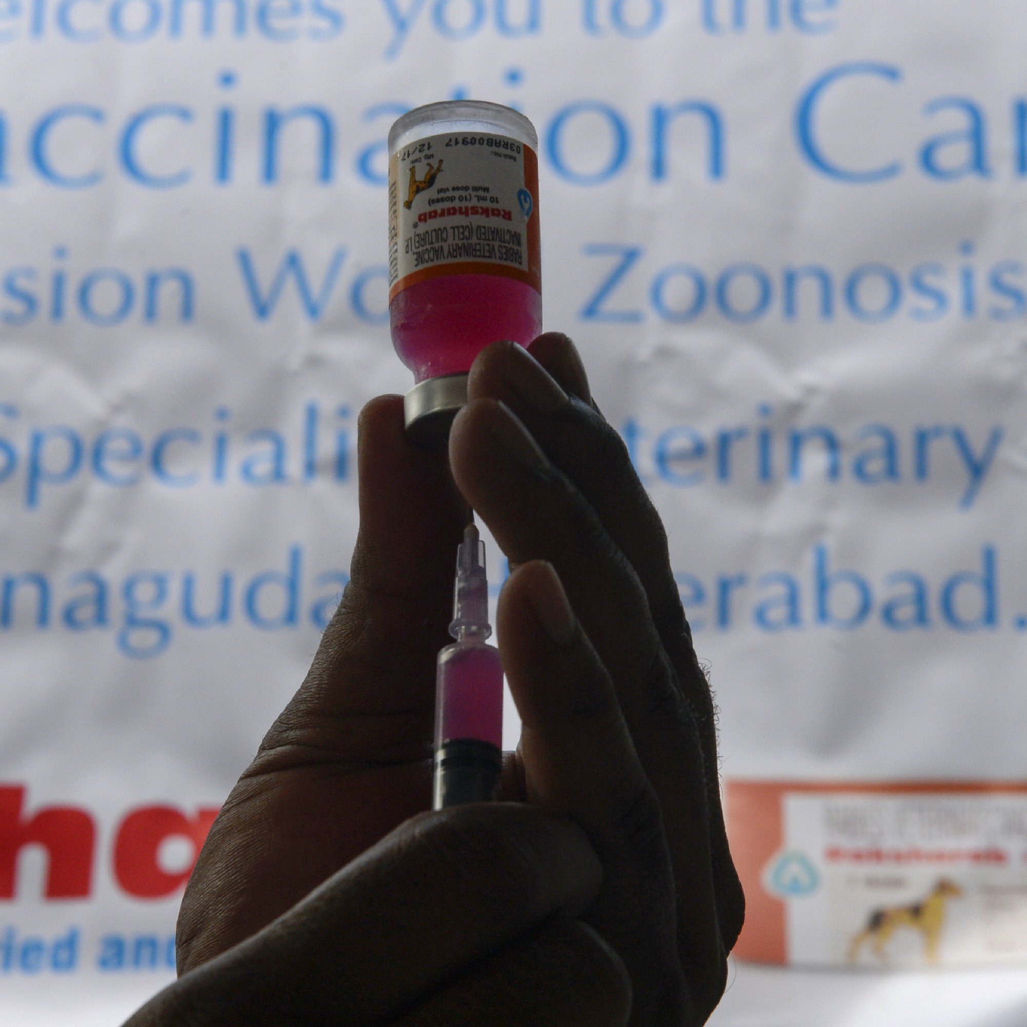 La France fait face à une pénurie de vaccins contre la rage