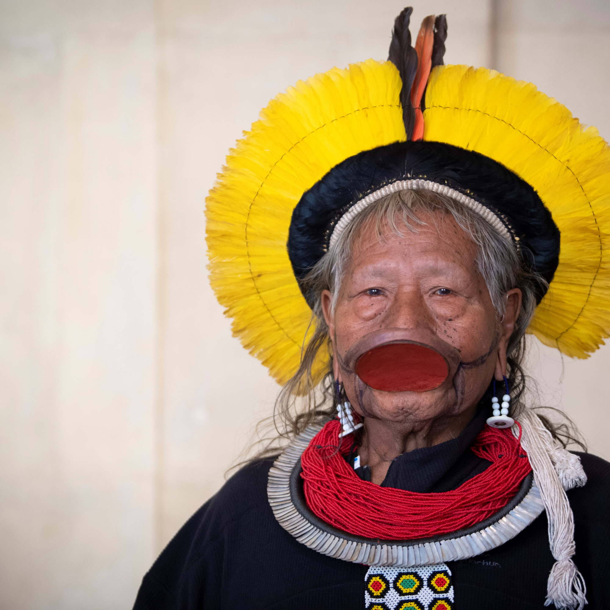 Pourquoi Raoni, le chef indigène brésilien, effectue une tournée en Europe