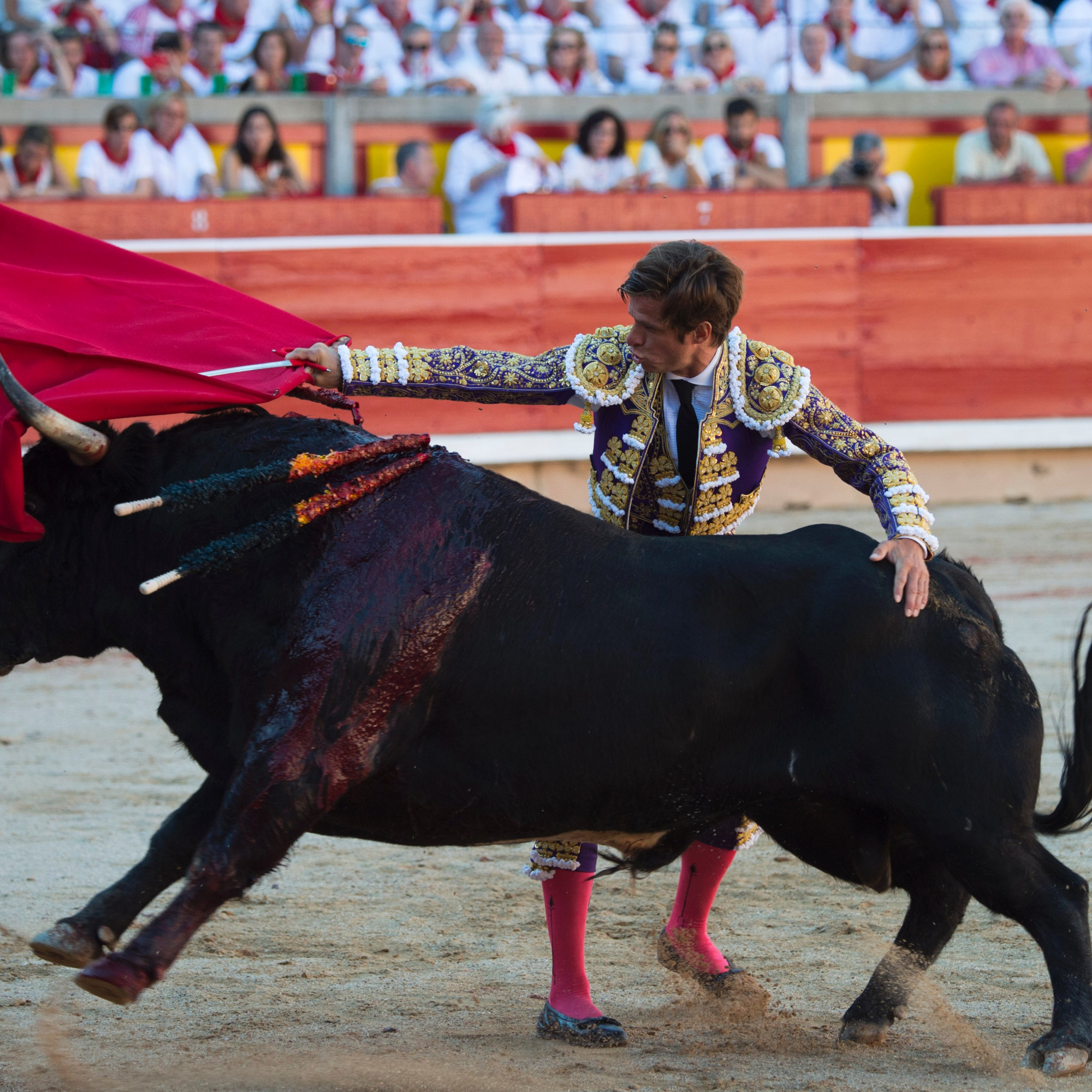 Corrida : "le Sud a ses particularités et compte bien les conserver ...