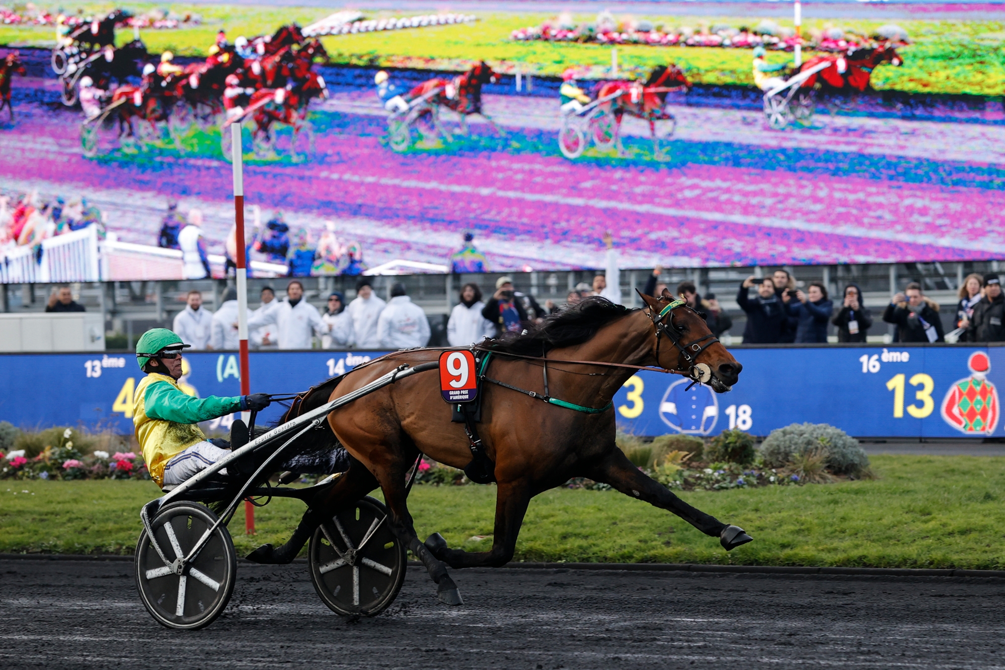 Prix D Amérique 2021 Face Time Bourbon Davidson Du Pont Qui Sont