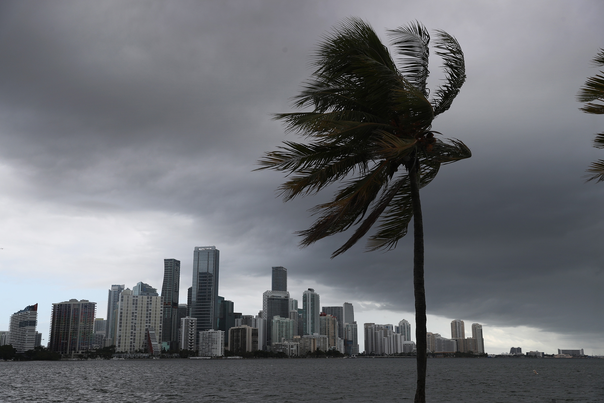 Climat : Miami pourrait construire un mur de 6 mètres face à la mer