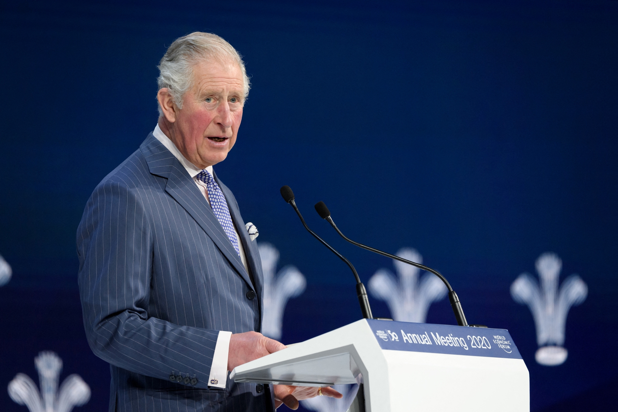Le prince Charles dément avoir fait une remarque sur la couleur de peau ...