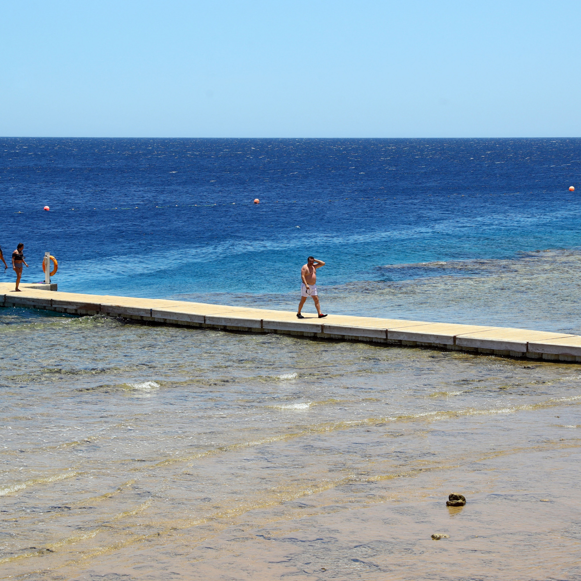 Égypte : deux touristes européennes tuées par un requin dans la mer Rouge