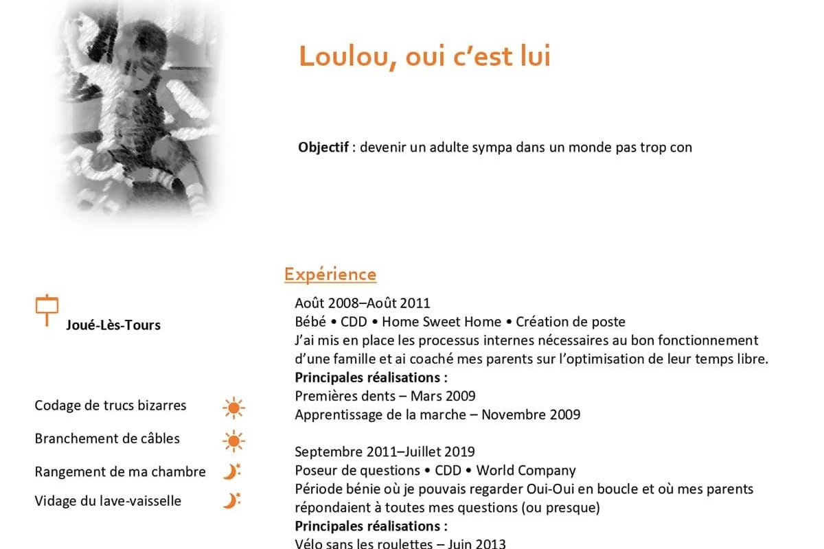 Indre-et-Loire : une mère écrit un CV hilarant pour le stage d ...