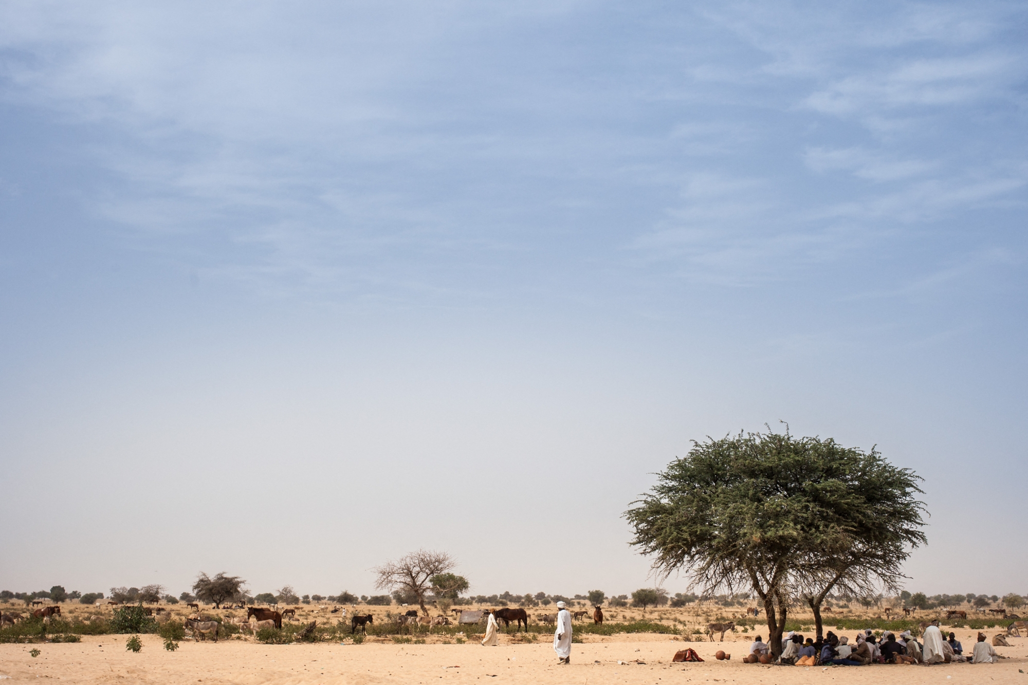 Tchad : l'otage franco-australien enlevé vendredi a été libéré