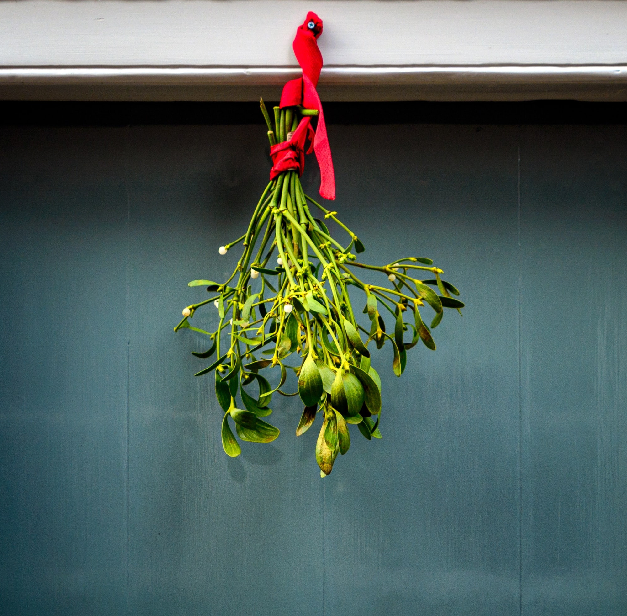 Nouvel An : pourquoi on s'embrasse sous le gui pour le réveillon