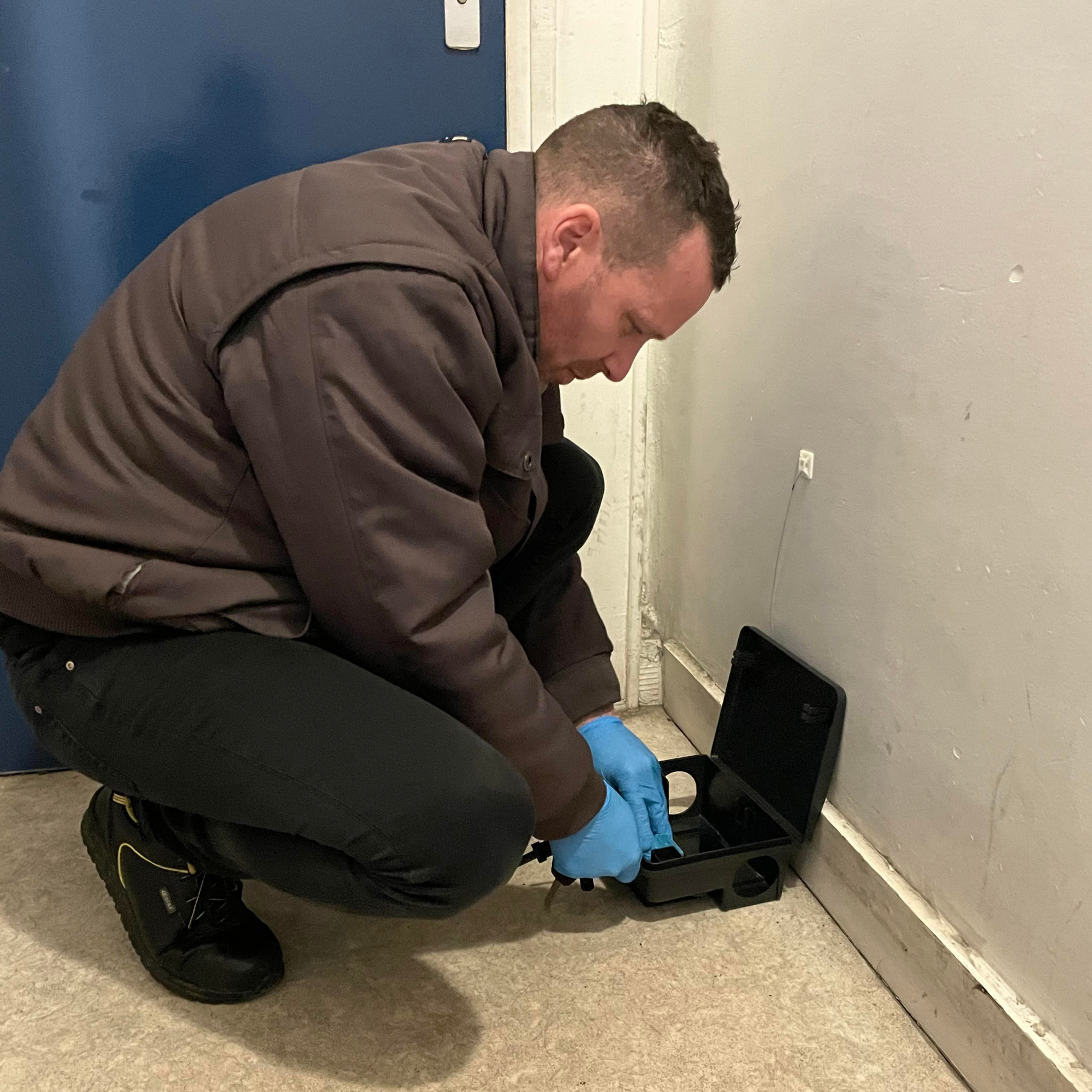 INFO RTL - Les opérations de dératisation ont bondi de 35% en 1 an