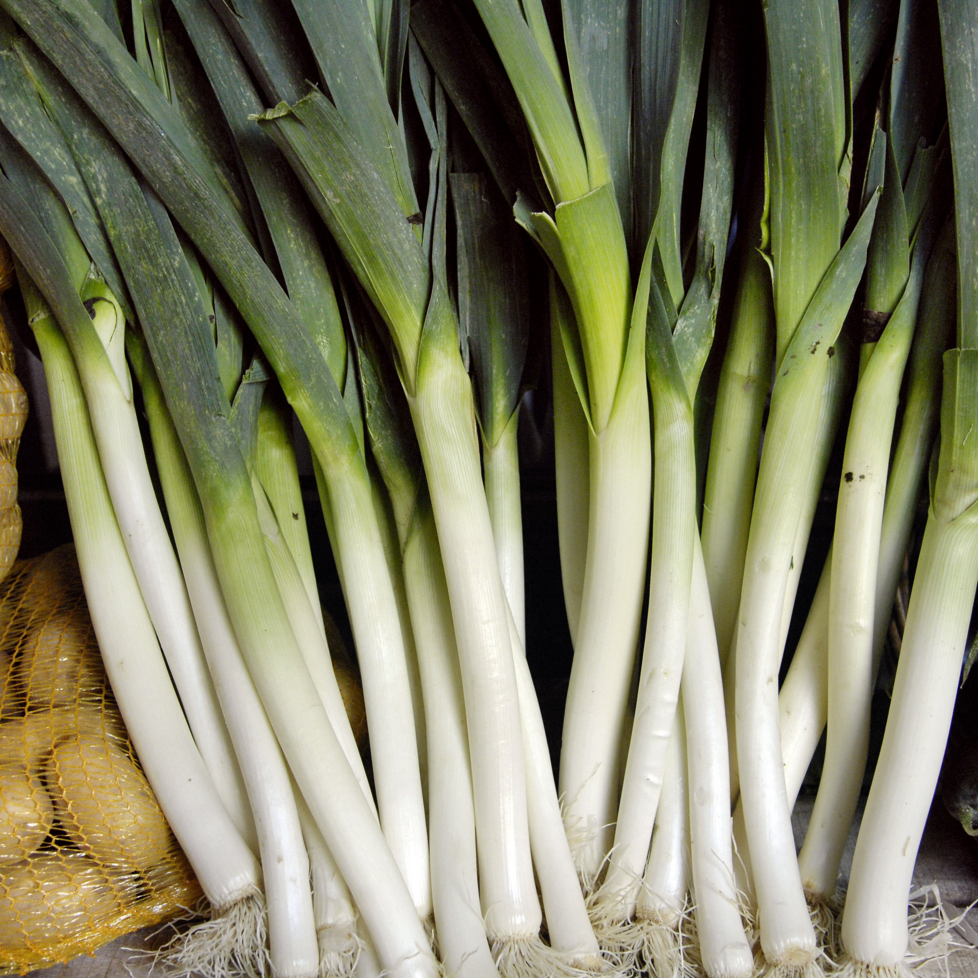 Alimentation : quels sont les bienfaits du poireau