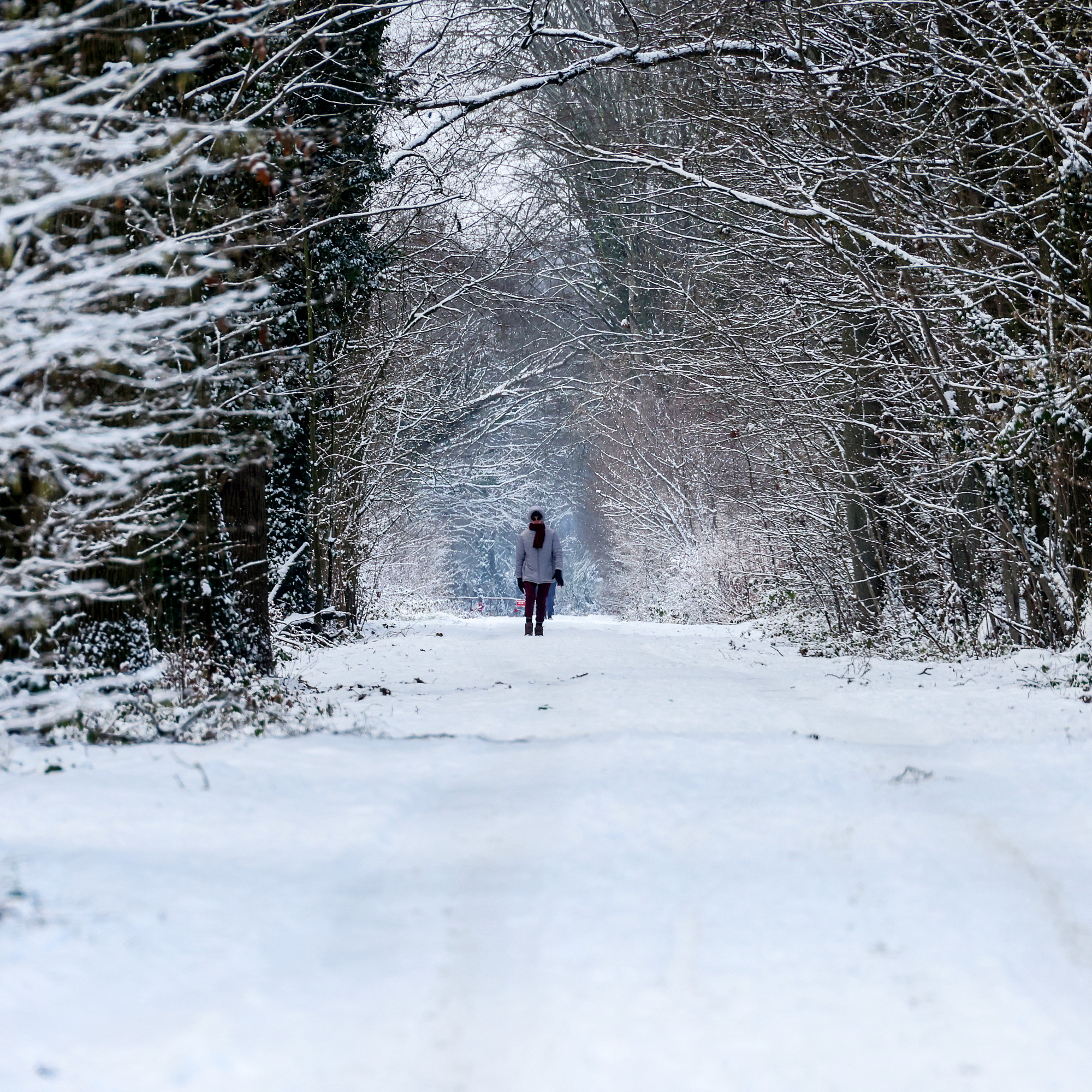 Tout ce qu'il faut savoir sur la neige