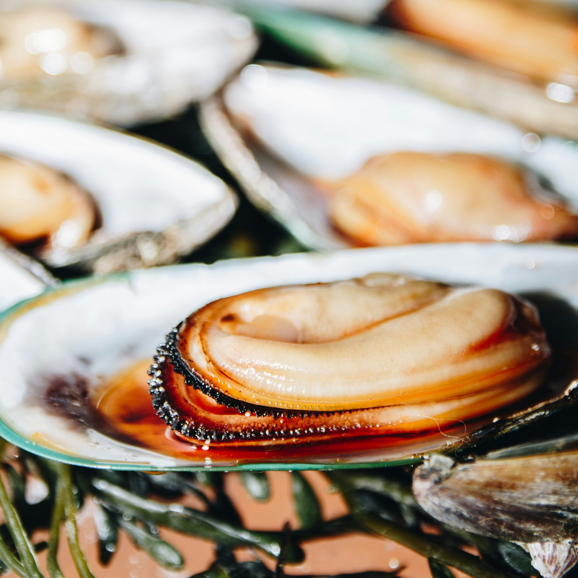 Cyril Lignac et sa recette de moules gratinées à l'ail des ours