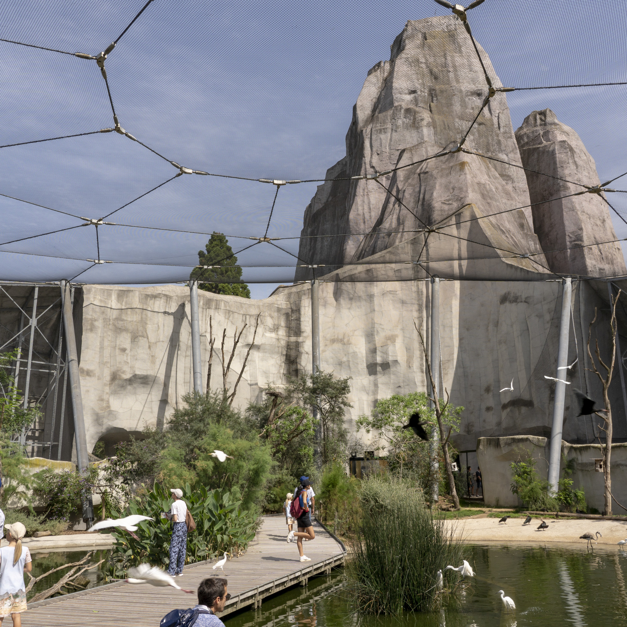 TOUT SAVOIR SUR - Parc zoologique de Paris : comment ce zoo s'est ...
