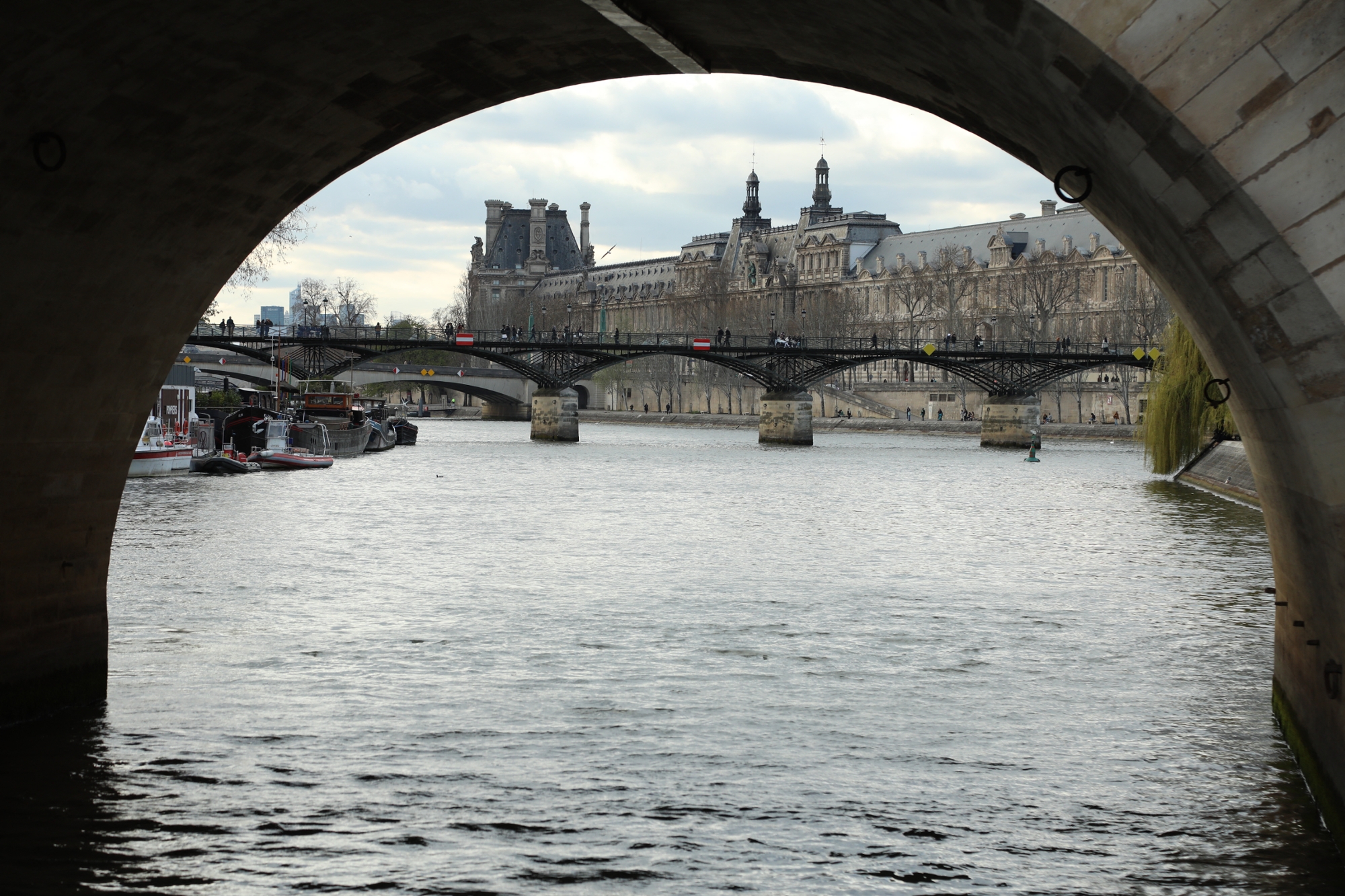 JO Paris 2024 : ce que l'on sait de la qualité de la Seine à un mois des Jeux