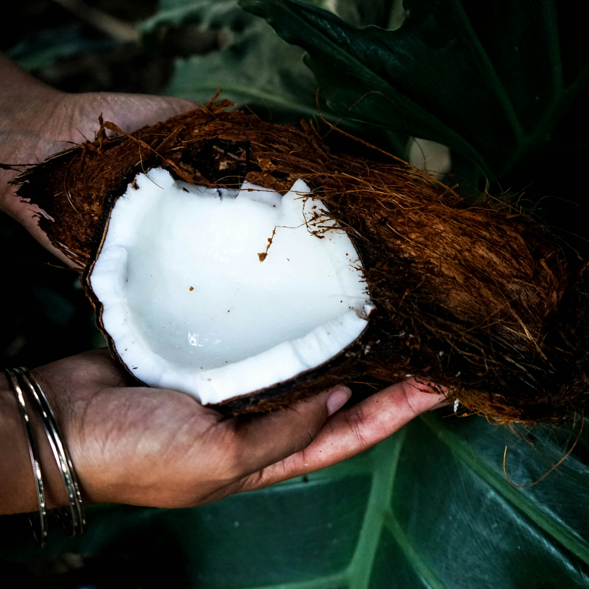 Découvrez la gastronomie de l’île de Saint-Martin avec la Coconut Tarte