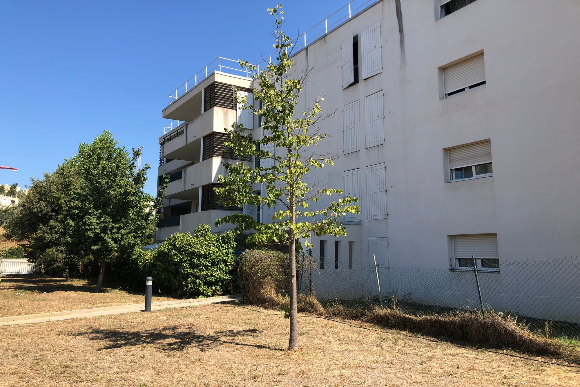 Marseille : leur immeuble est envahi par les rats, ces habitants vivent ...