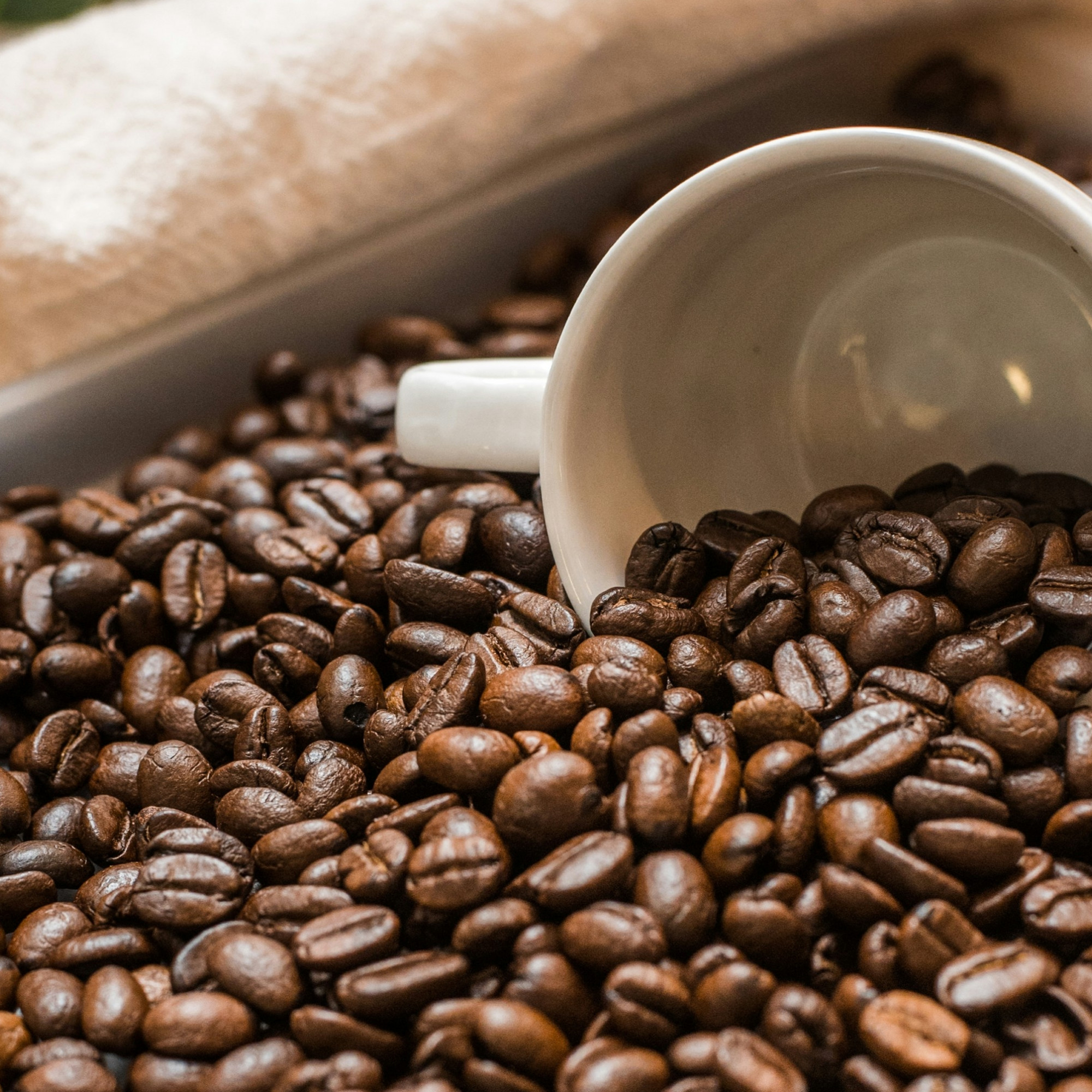 Café : comment expliquer la flambée des prix