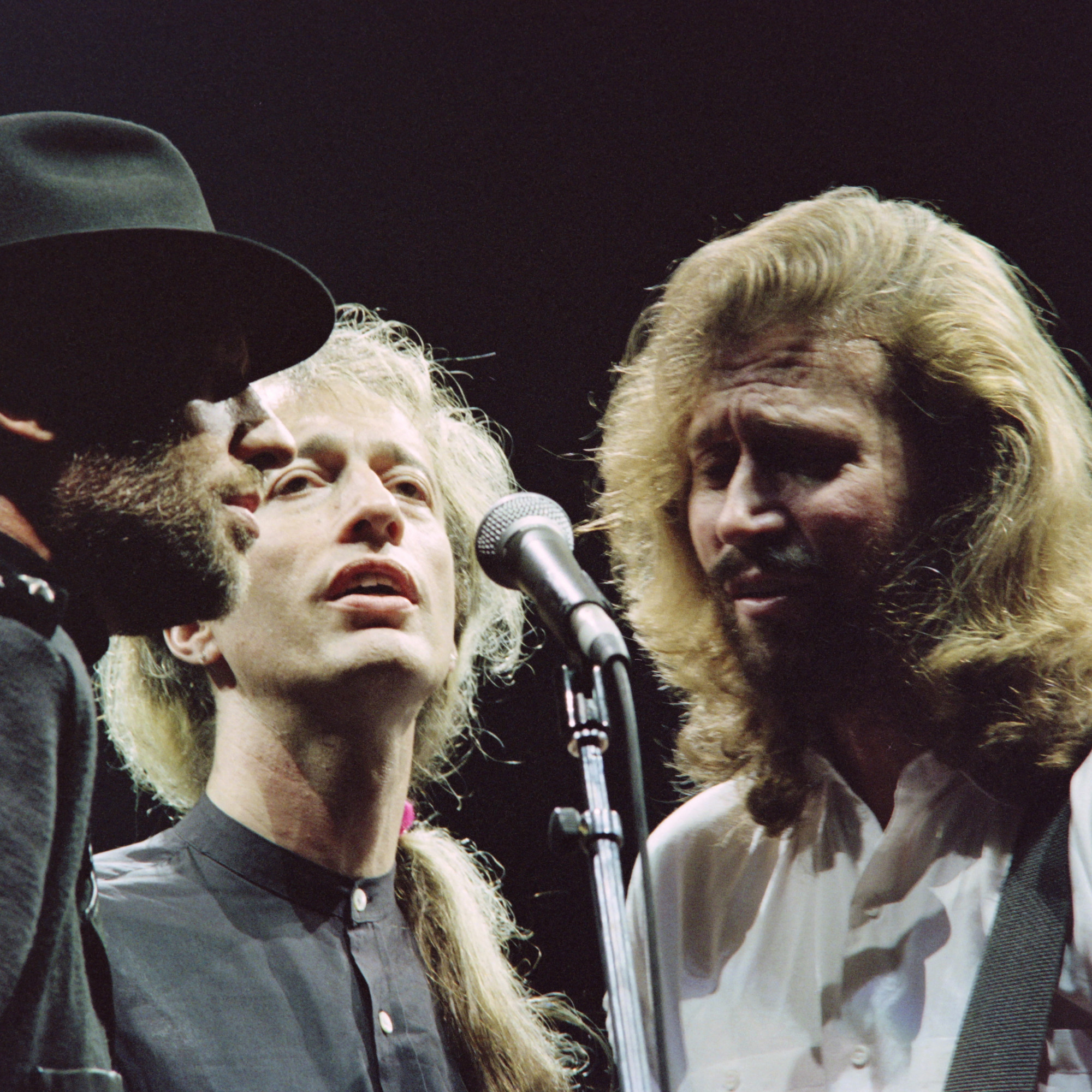 Les Bee Gees Night Fever: A Tribute To The BEE GEES Tributeband
