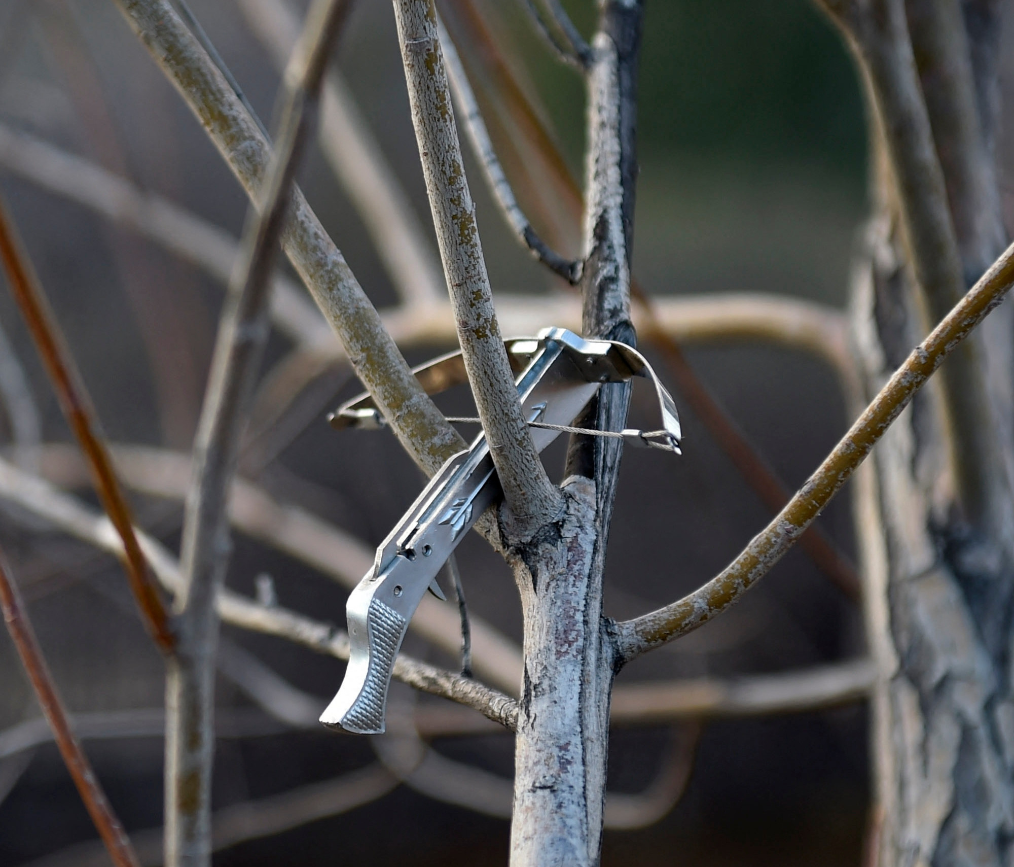Affaire Rémy Lecrenier : pourquoi le tueur à l'arbalète a-t-il anéanti ...