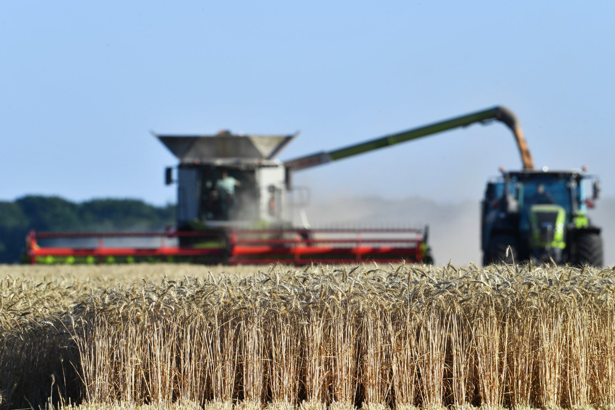 Agriculture : la bonne récolte de céréales va-t-elle faire baisser le ...